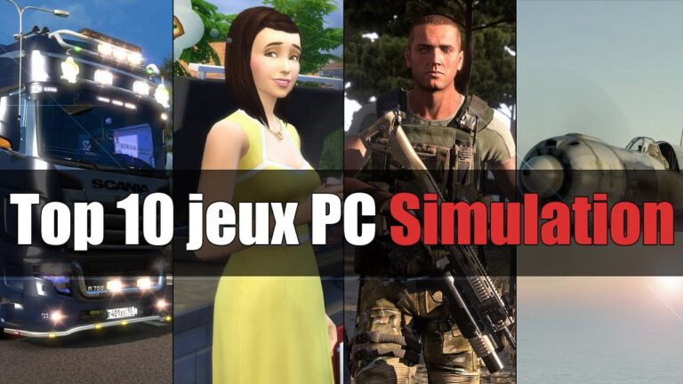 Top Jeux Simulation pour PC - Top 10 simulateurs PC